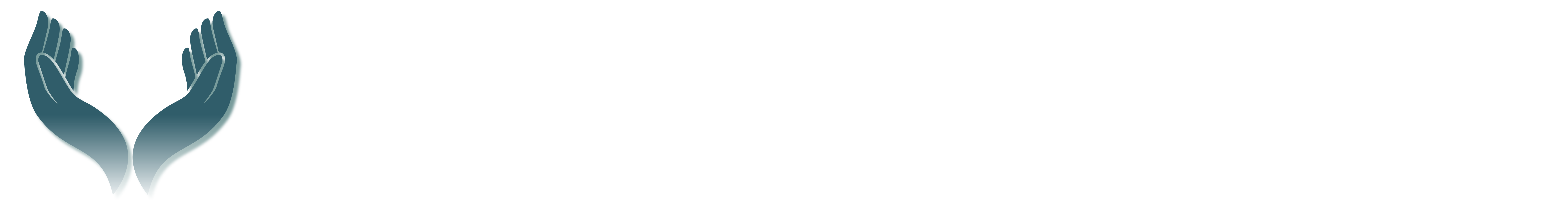 Nærmere oplysninger om transaktionsprocessen mellem Blue Vision A/S og ...